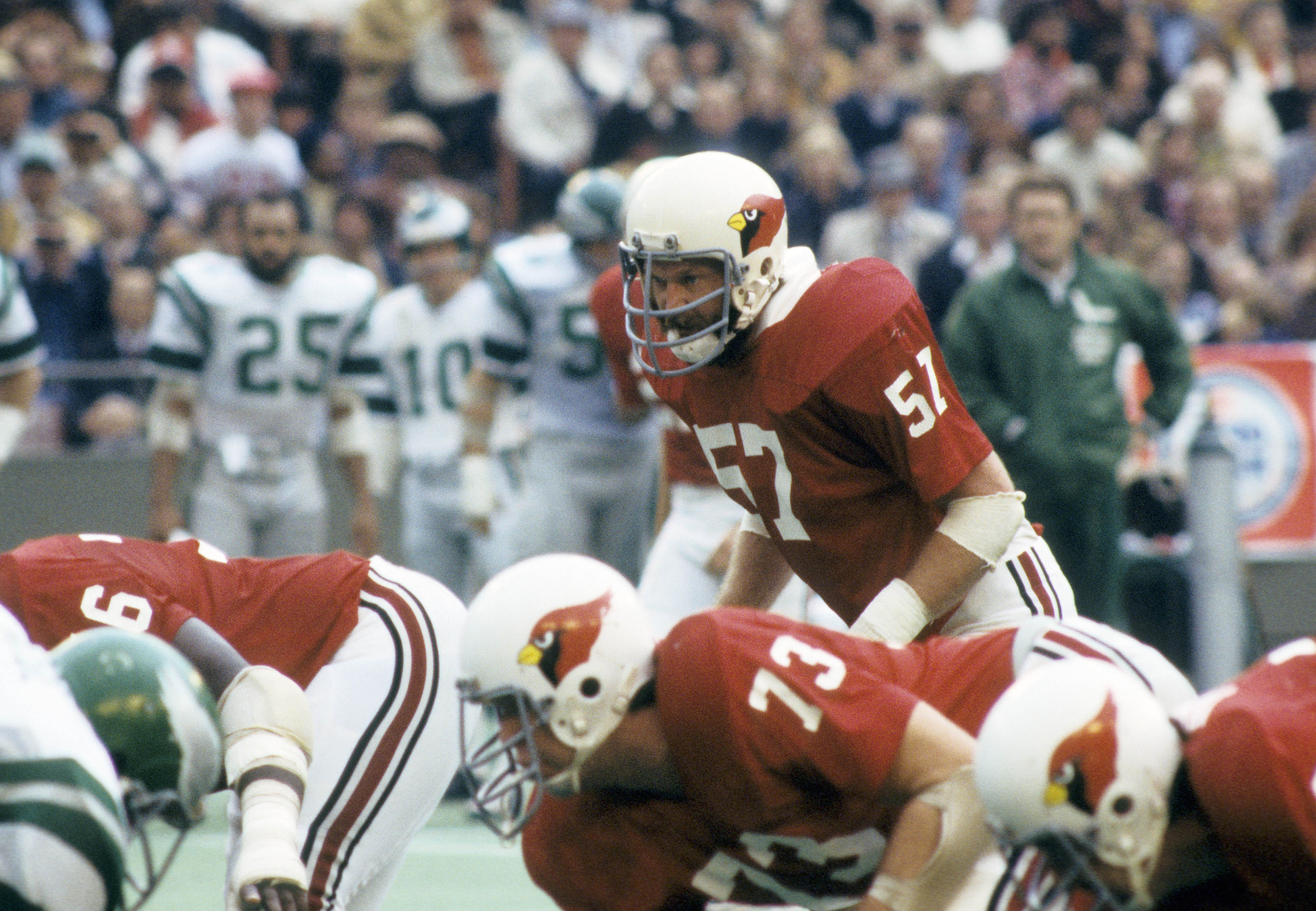 Former St. Louis Cardinals Linebacker Mark Arneson Dies at the age of ...