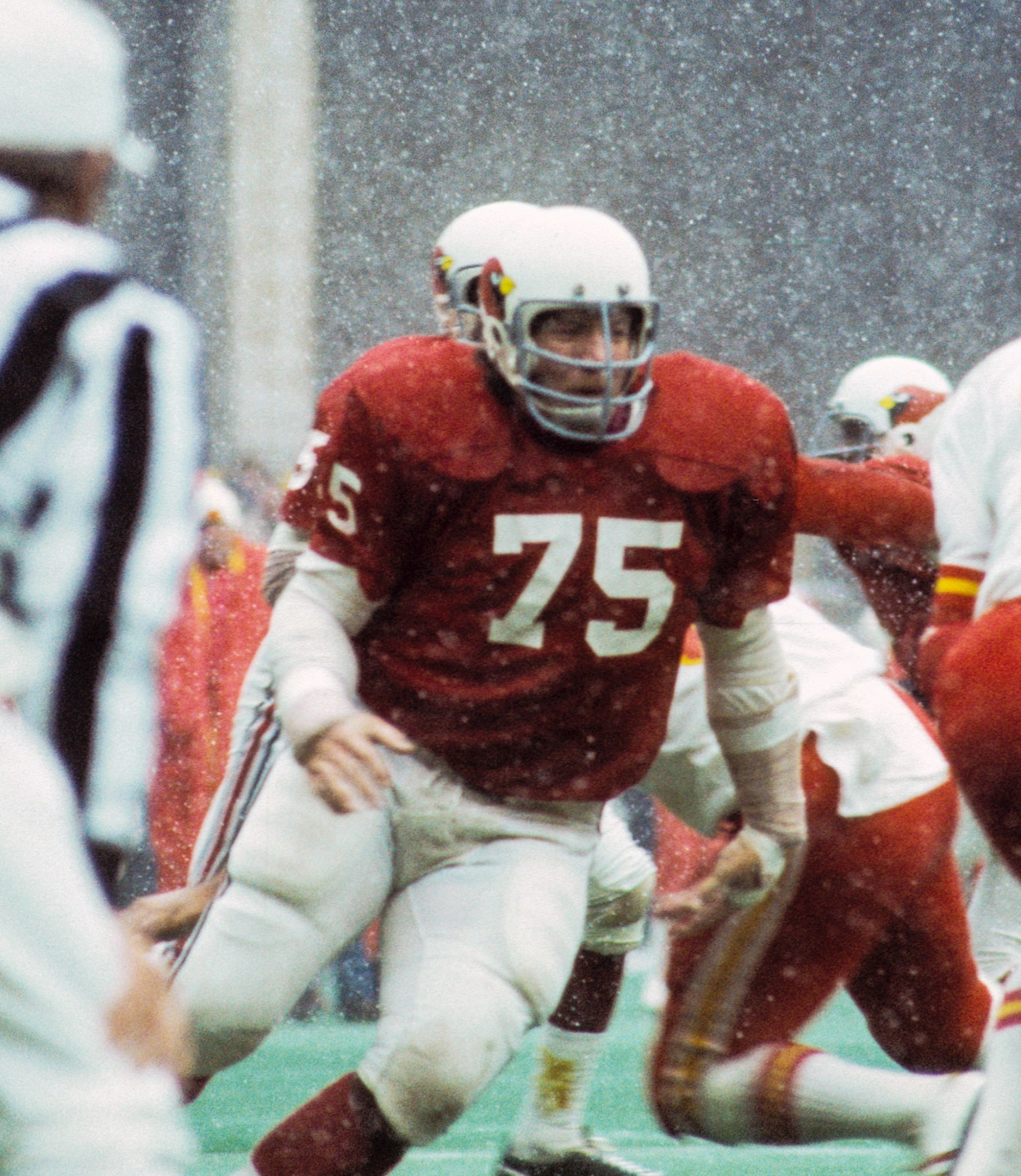 THE BIG RED ZONE | History of the St. Louis Football Cardinals